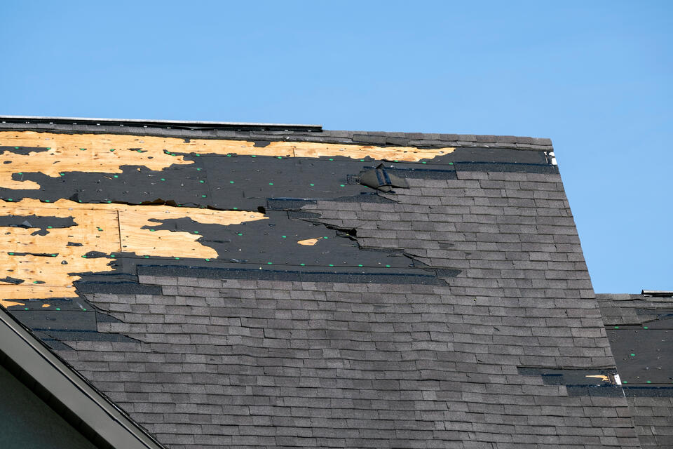 Should You Repair Or Replace Your Roof? 6 Tips